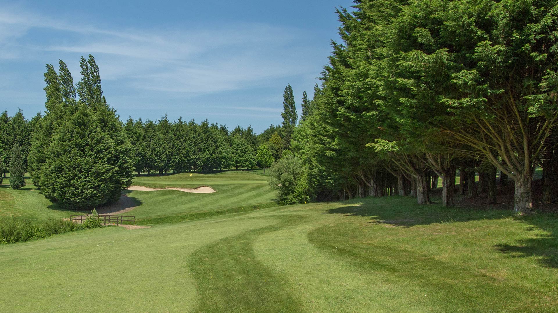 Group Golf at Bulbury Woods - Poole Golf Club