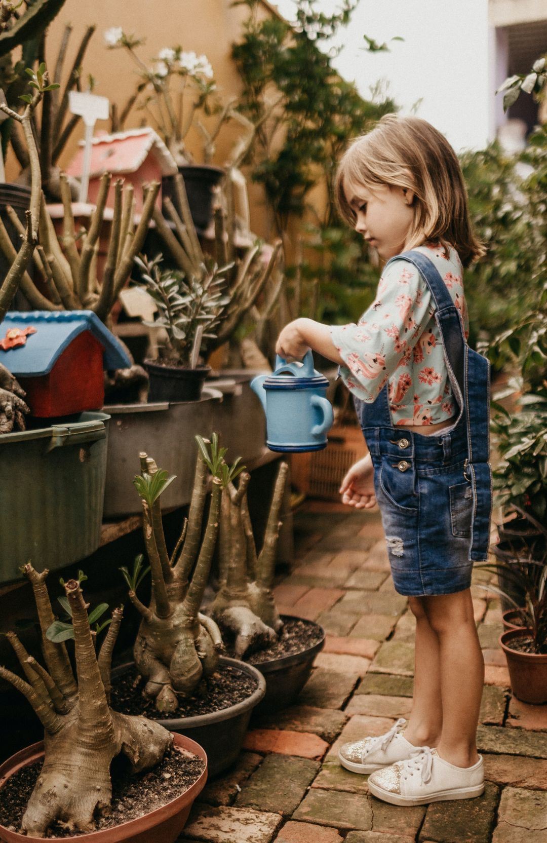 Maple App | Helping you keep it together