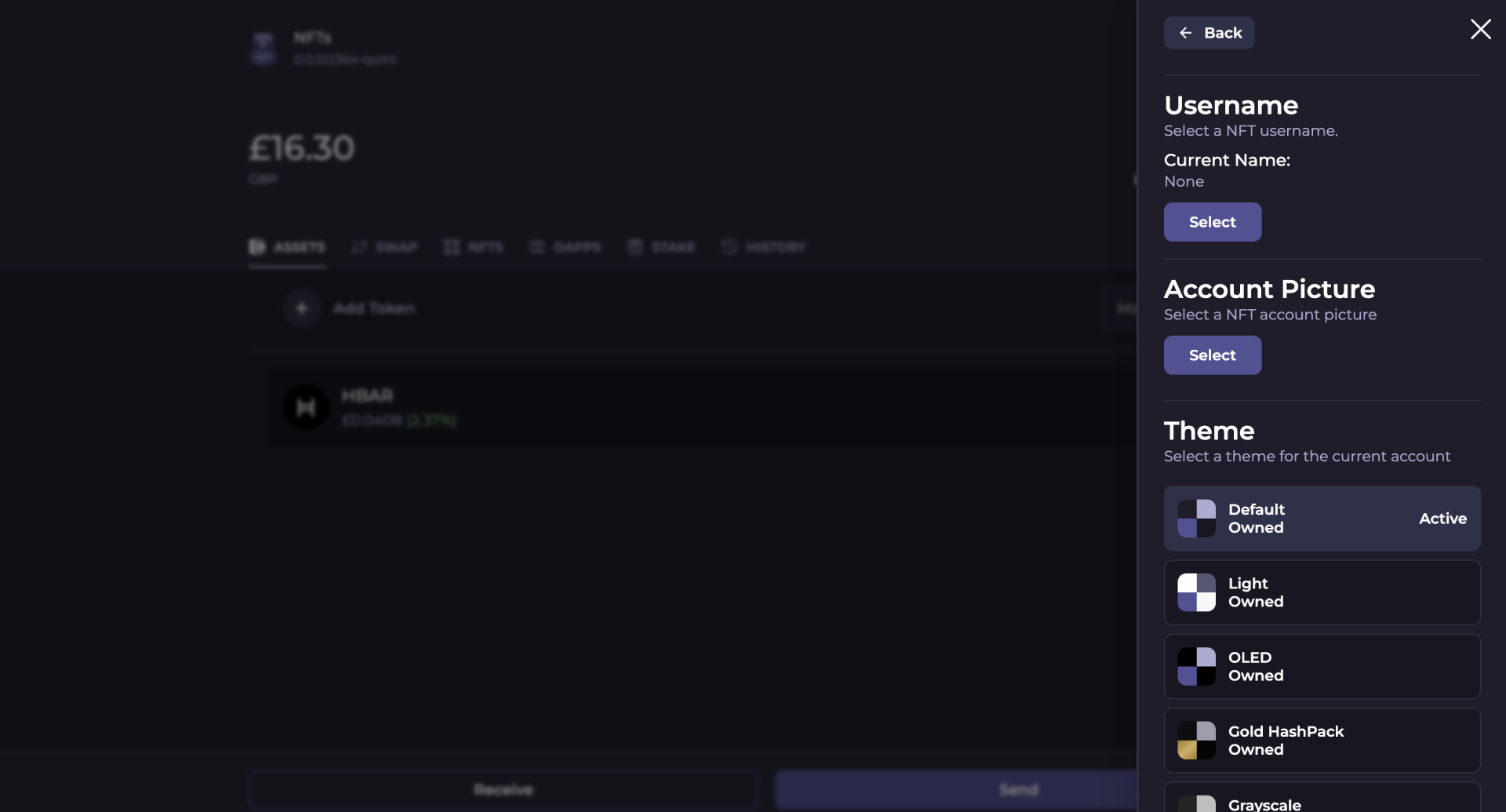 What are HashPack themes and profiles?