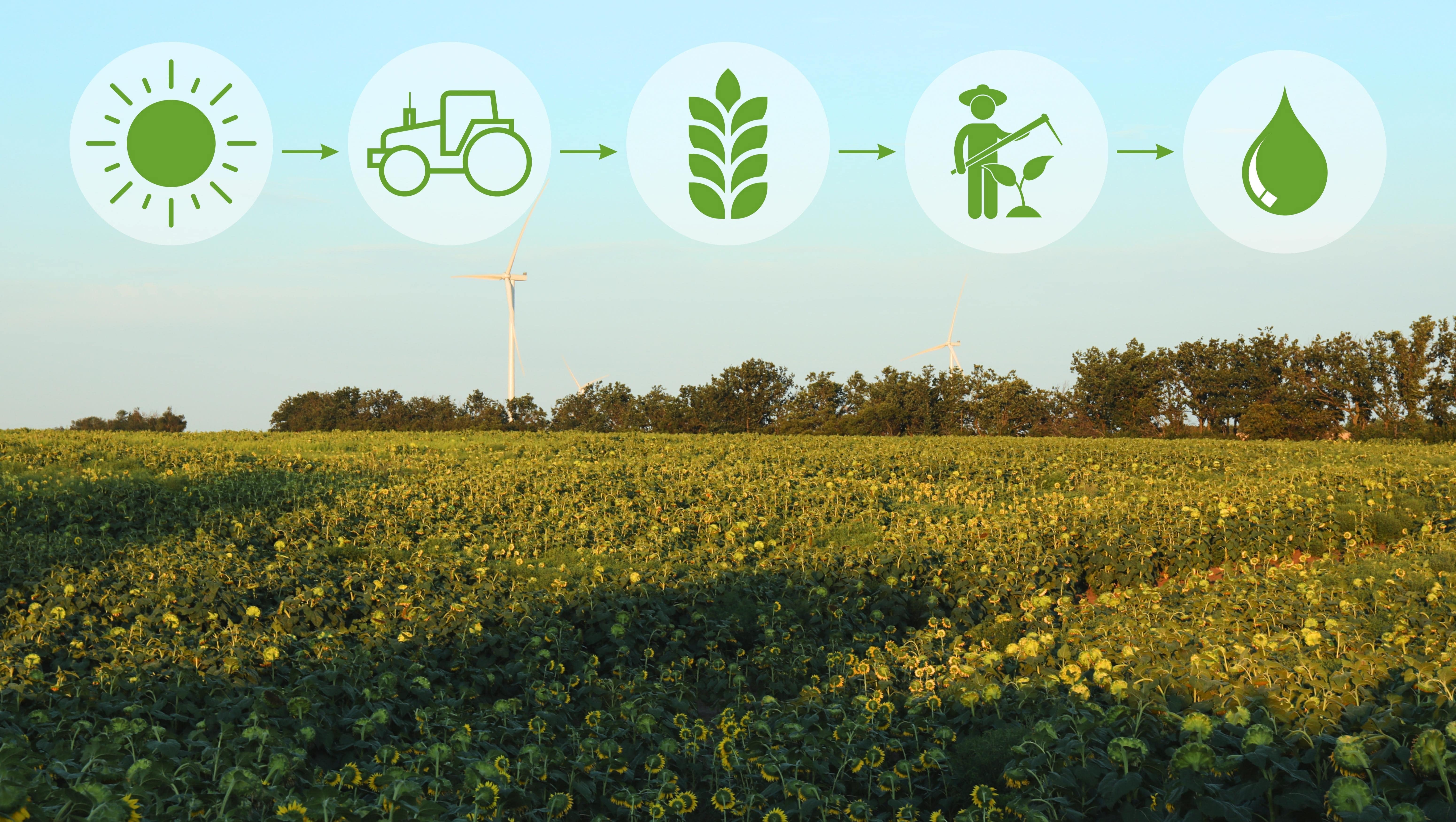 Farming Futures: Environmental resilience, Feasibility | Inventya