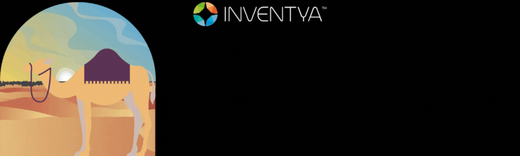 The Camel Business" : Thriving in Any Business Climate | Inventya