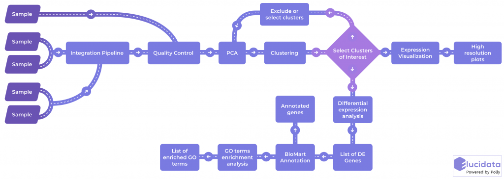 Curation – The Missing Link to Single Cell Data Analysis