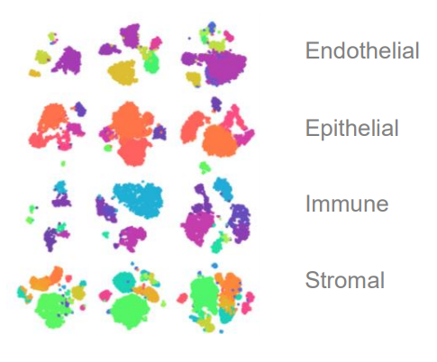 Top 10 Latest Single-cell Atlases for Normal Tissues