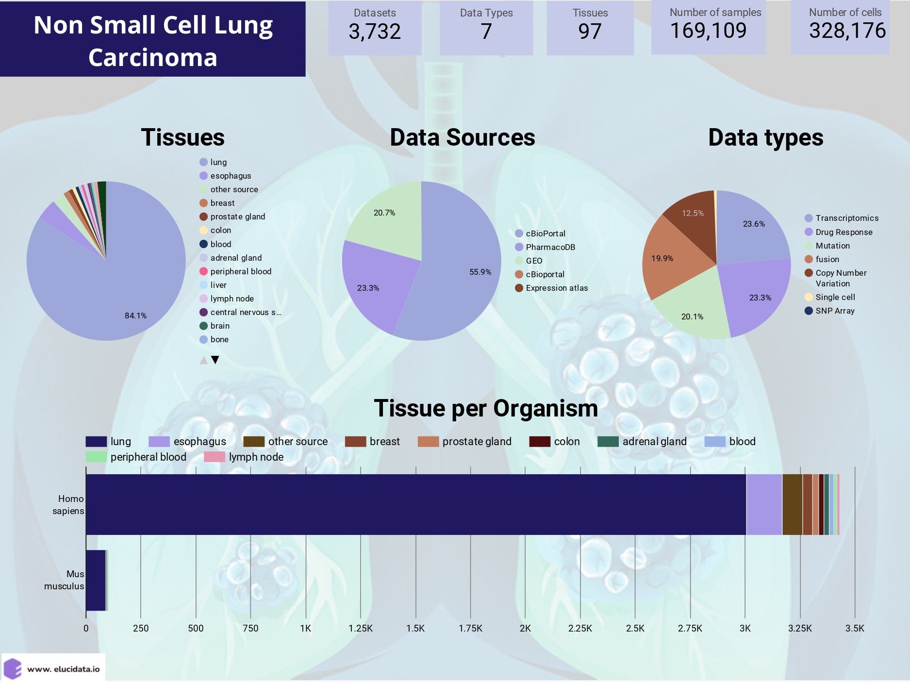 Dataset Roundup - Noteworthy Datasets on Non-Small Cell Lung Cancer (NSCLC)