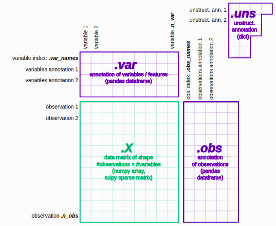 Visualizing Single Cell Datasets Using CellxGene