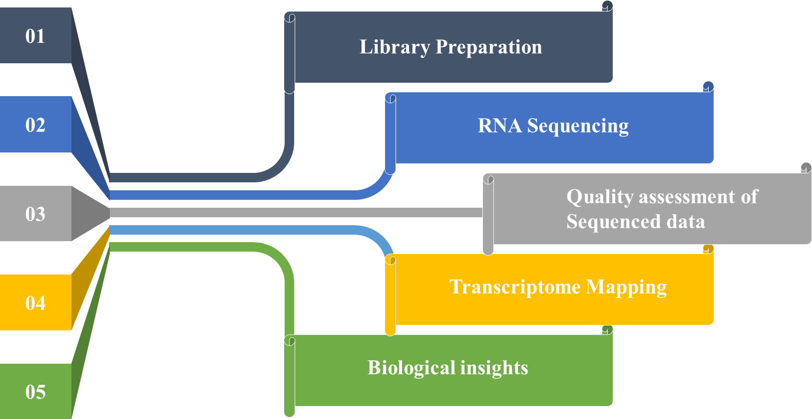 RNA Sequencing as a Tool in the Search for Cancer Biomarkers