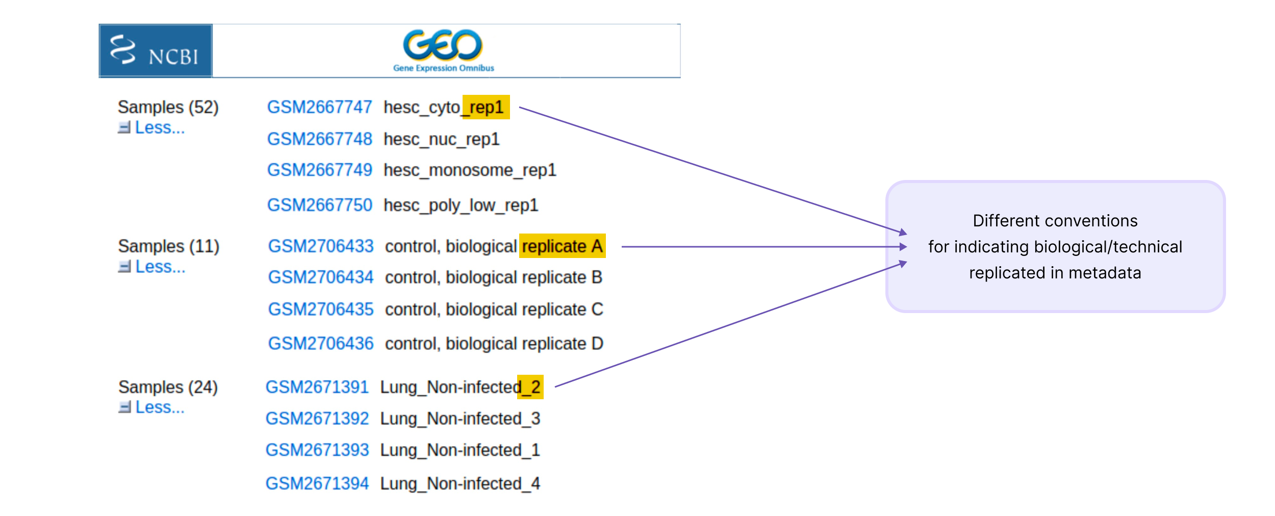 Data Quality in Early-Stage Drug Development