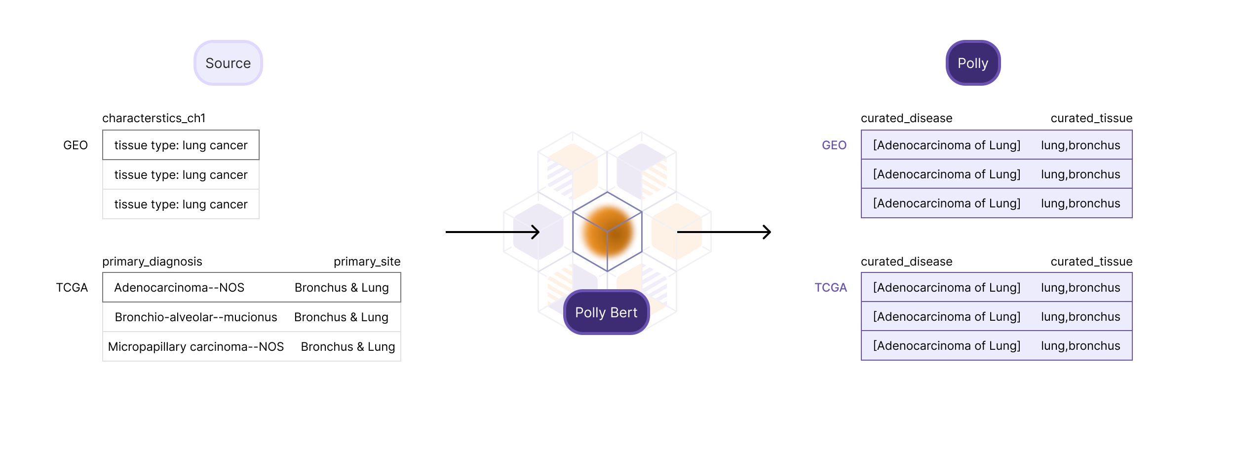 Data Quality in Early-Stage Drug Development