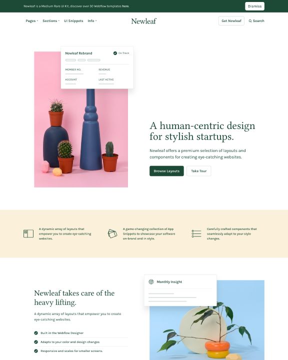 Plants Webflow Template Newleaf | FlowRadar