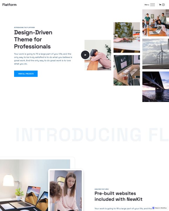 Data Services Webflow Template Flatform | FlowRadar
