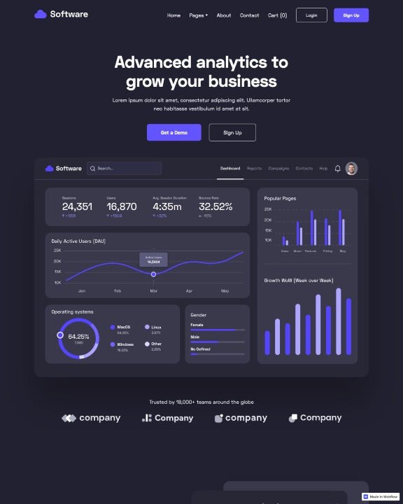 Software Analytics SaaS Webflow Template Software | FlowRadar