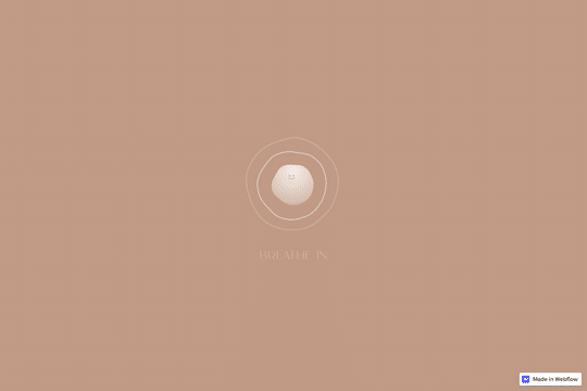 Hero Hover Slider Webflow Cloneable