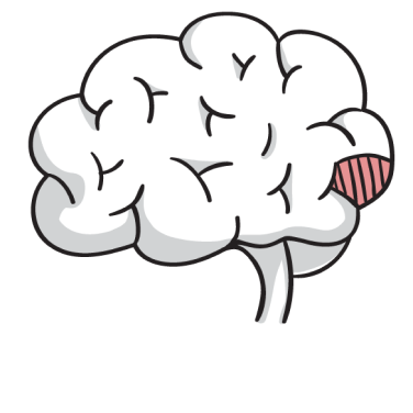 Chart Chooser Cards — How to simplify data | fassforward | fassforward