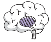 Chart Chooser Cards — How to simplify data | fassforward | fassforward