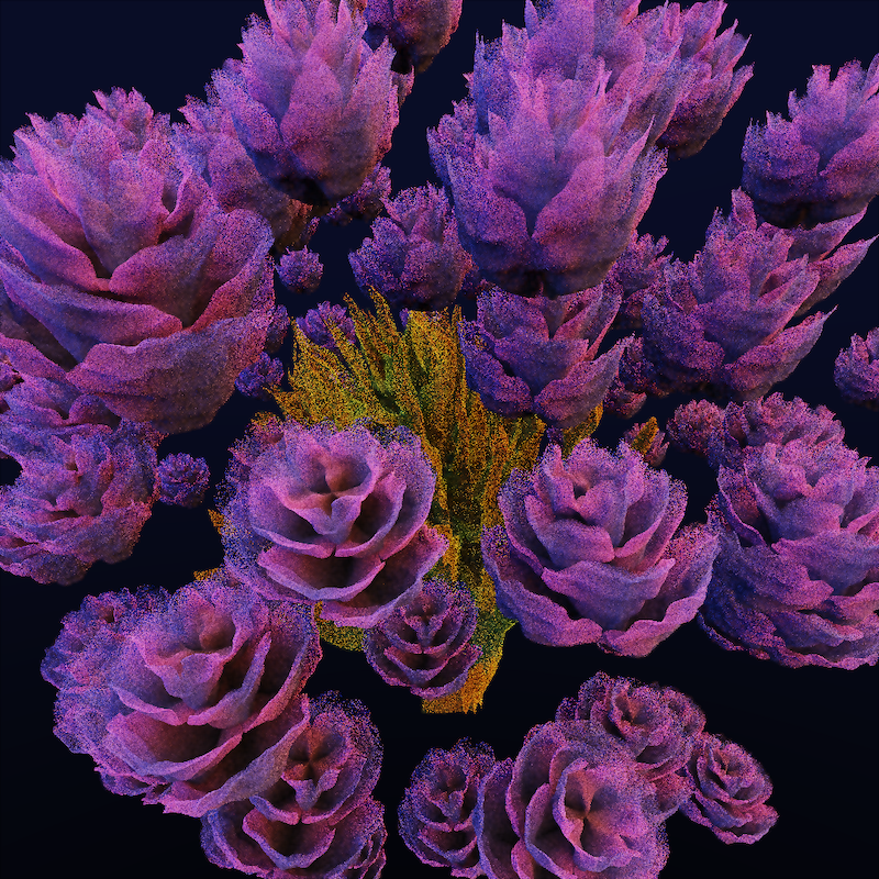 The Emergent Artists of fx(hash)