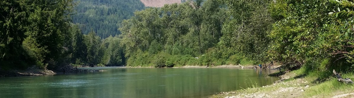 Family Tree RV - Welcome to Family Tree Riverside RV & Campground