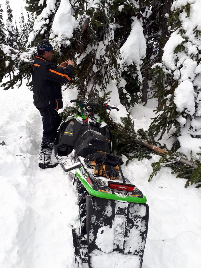 Family Tree RV - Welcome to Family Tree Riverside RV & Campground