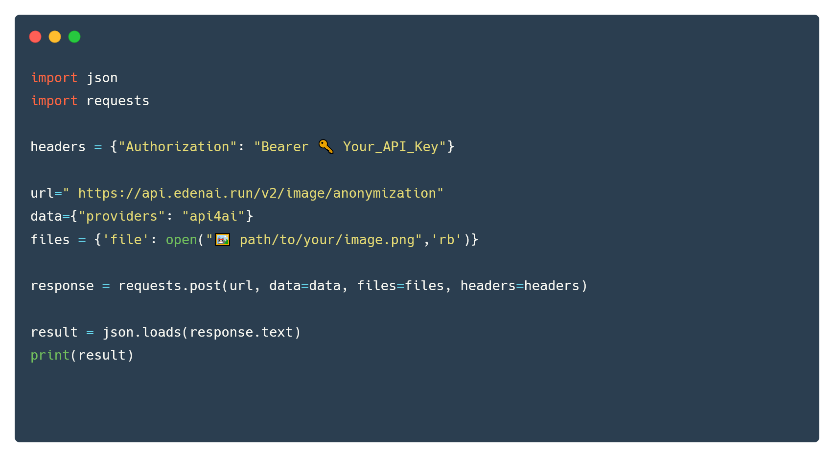How To Anonymize Images With Python 4725