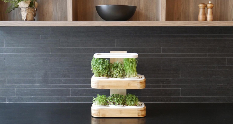 Kusk | Punctuate Design