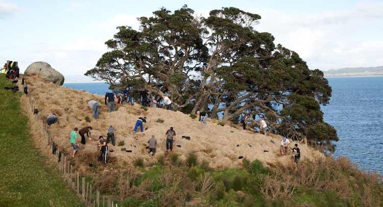 Our Vision & Plan | Bream Head Conservation Trust