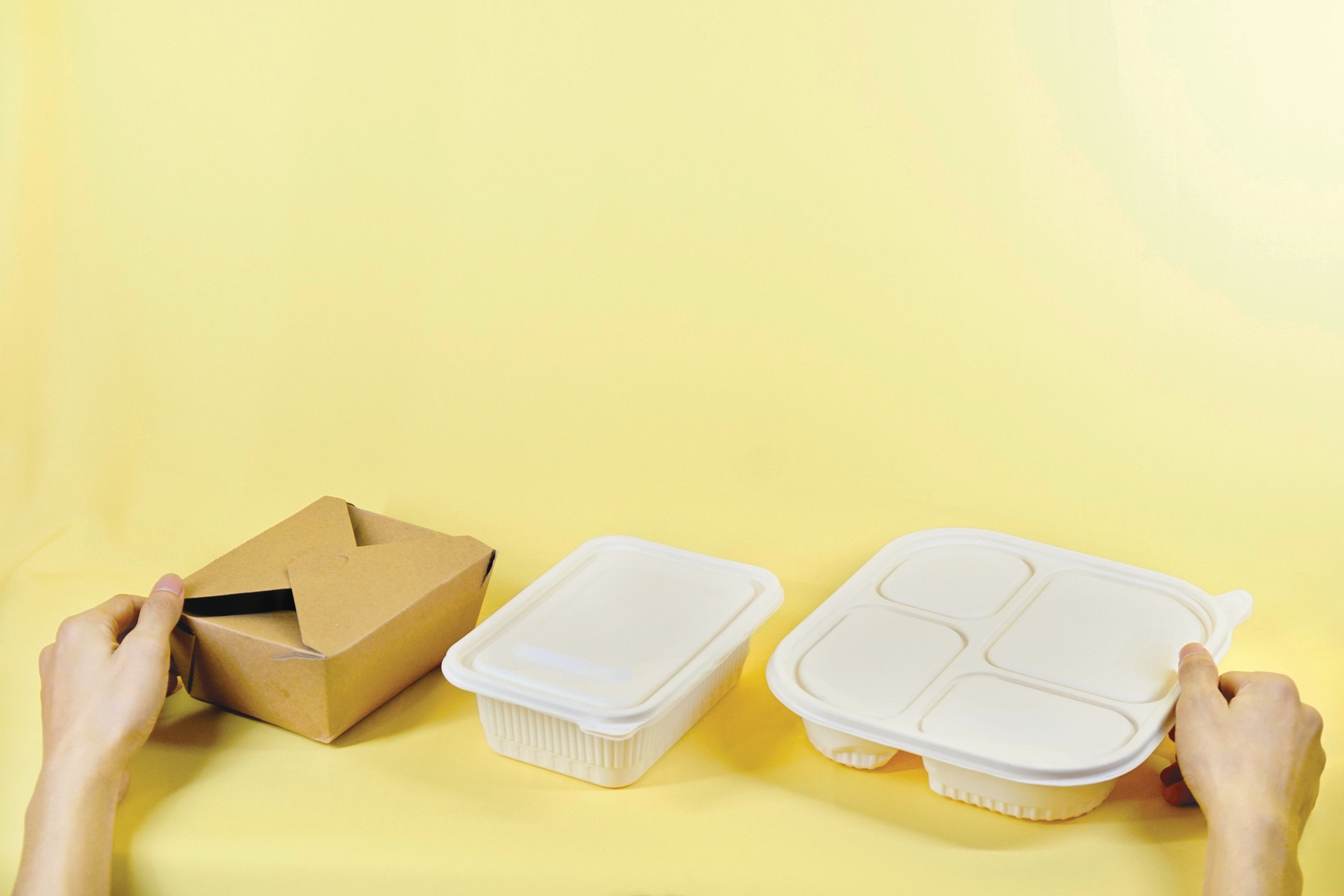 Can Biodegradable Packaging Significantly Reduce Your Company's ...