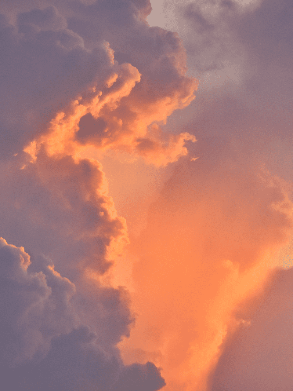 50+ Insanely Cute Summer Bucket List Ideas + FREE PRINTABLE