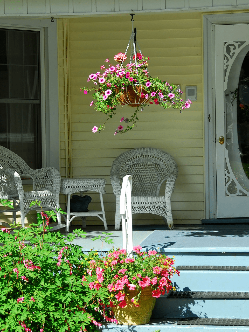 50+ Insanely Cute Summer Bucket List Ideas + FREE PRINTABLE