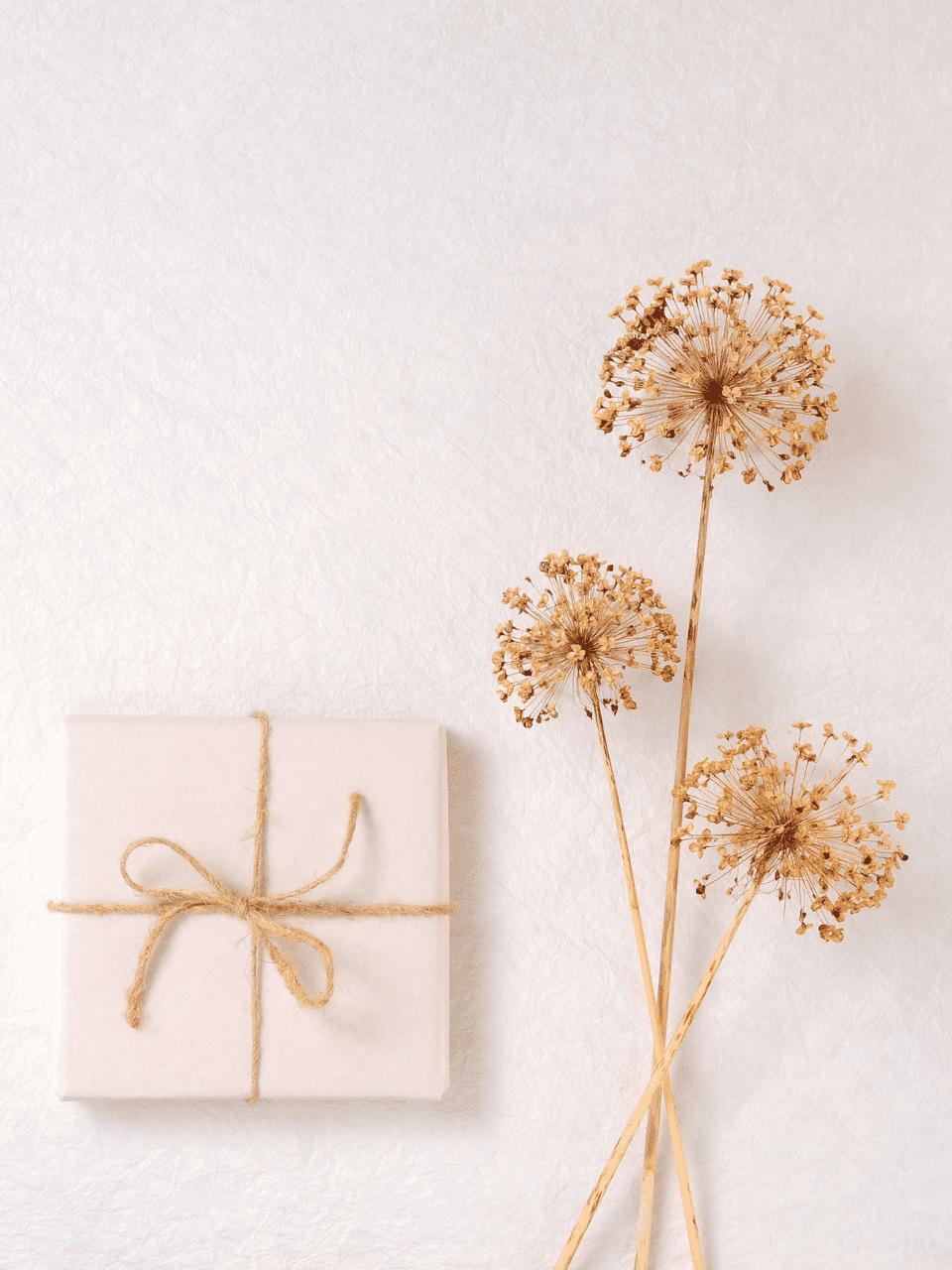 50+ Insanely Cute Summer Bucket List Ideas + FREE PRINTABLE