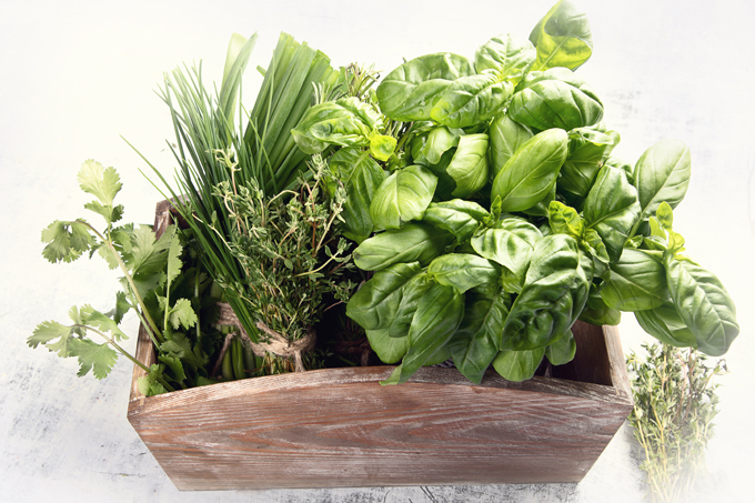 De beste groothandel voor verse kruiden en specerijen