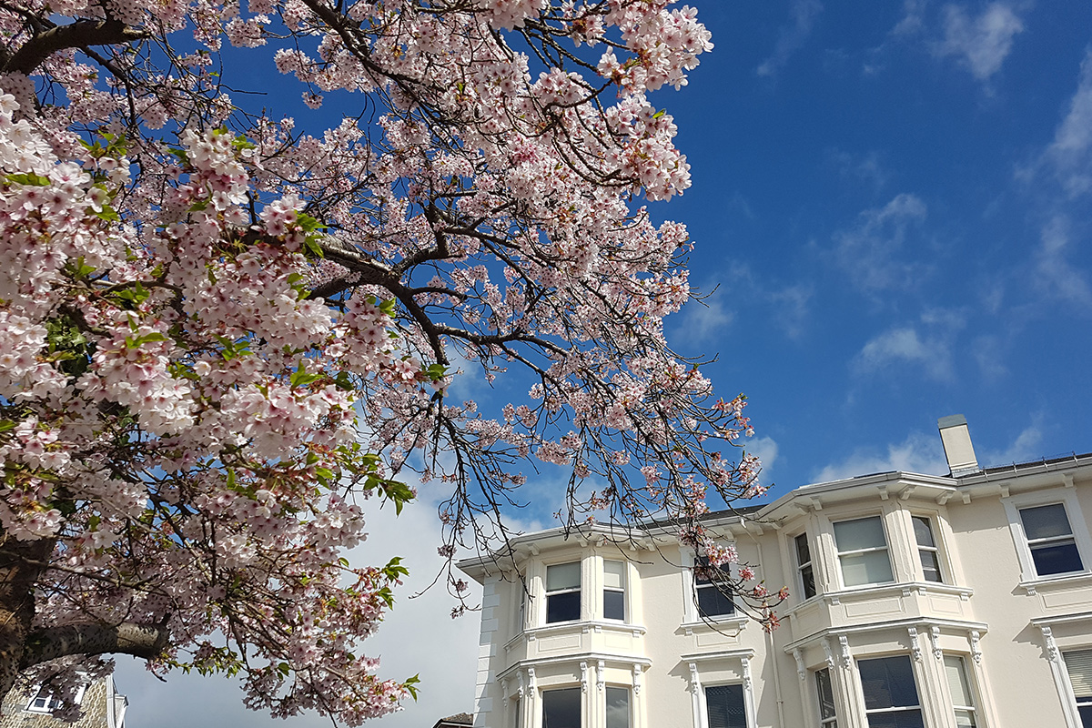 Solicitor Firm in Tunbridge Wells Looking Back on the Year