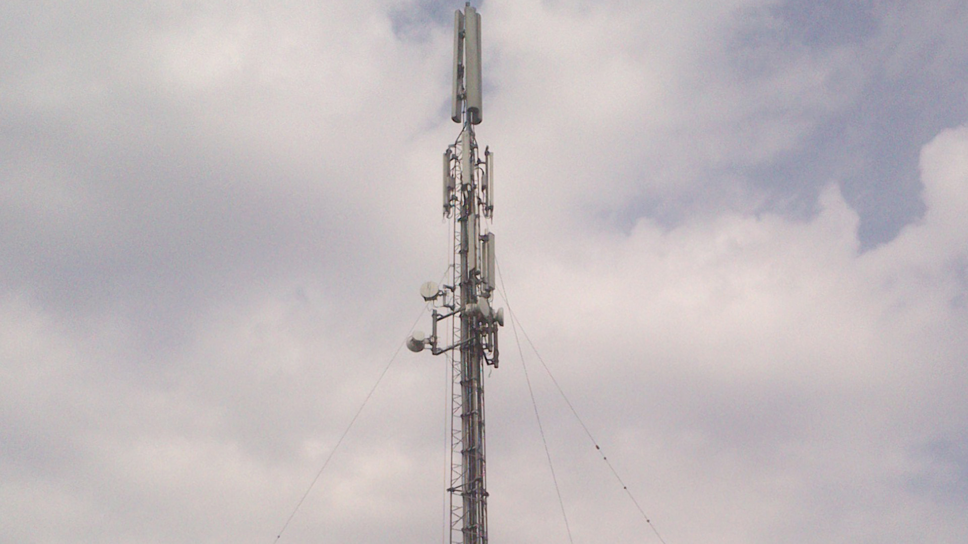 Guy Wire Tower Services | Conbit