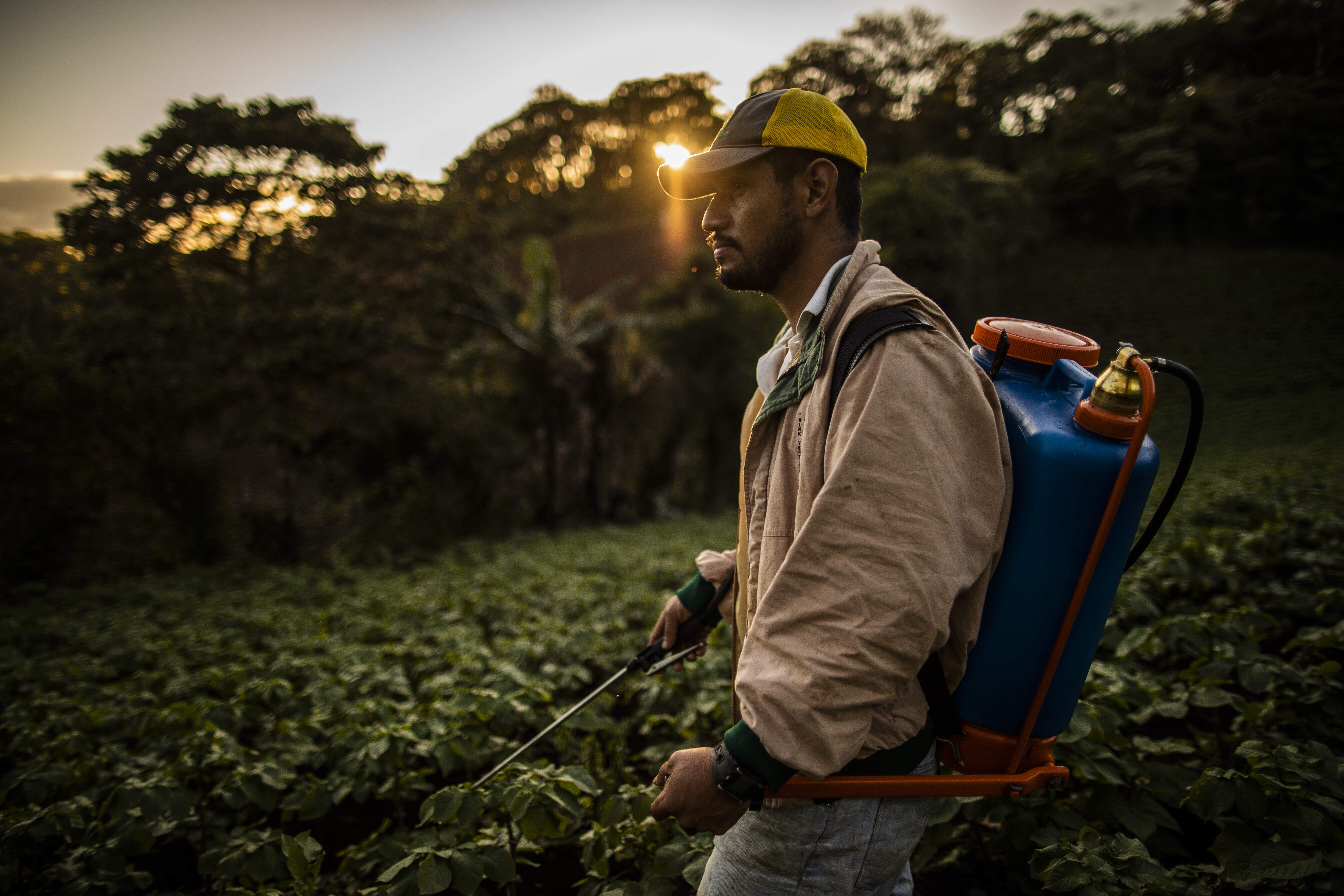 Stories | Sustainable production, the only salvation for Lake Apanás