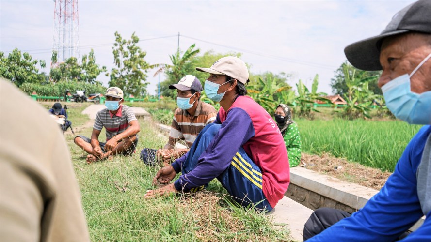 Stories | Reducing environmental impacts and improving rice farmers ...