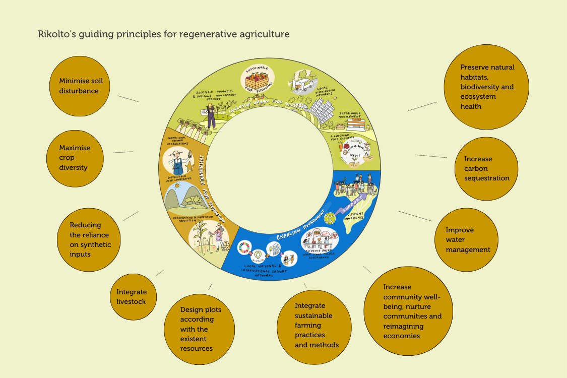 Regenerative agriculture | Rikolto