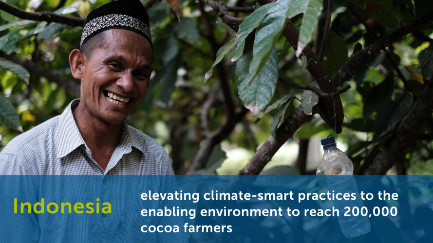 Stories | Cocoa Barometer 2022: governance policies and purchasing practices are key for ...