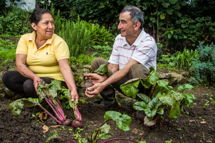 Stories | Rikolto & Regenerative Agriculture: a new way forward