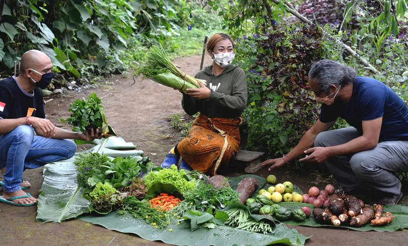 Stories | Rikolto & Regenerative Agriculture: a new way forward