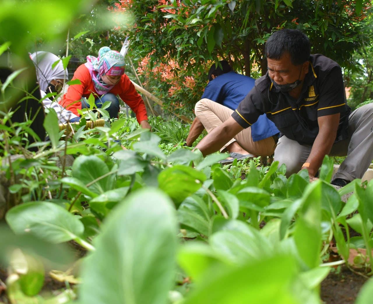 Stories | FAO, Rikolto and RUAF launch new urban and peri-urban agriculture sourcebook