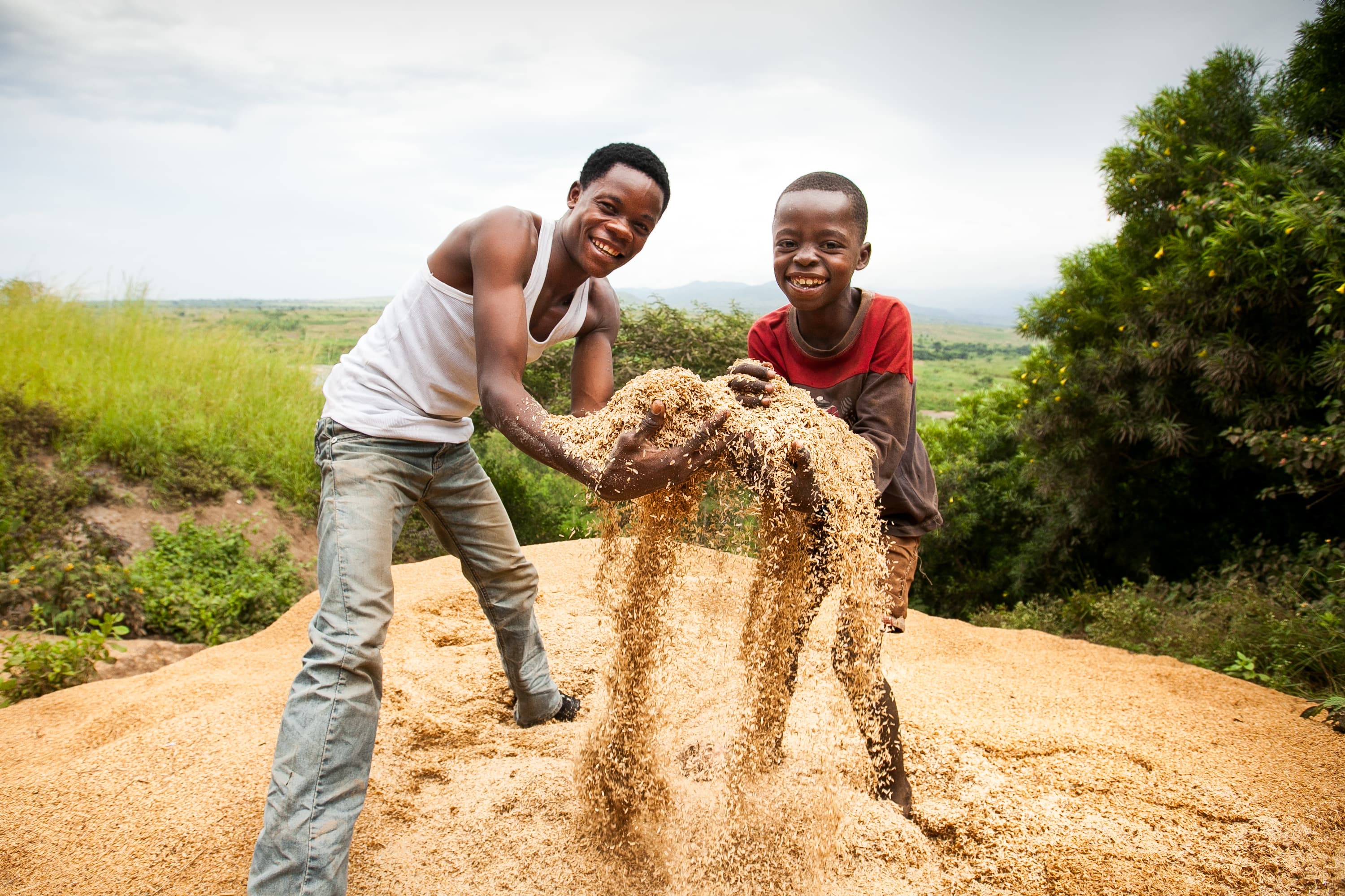 Stories | A walk through the past and the future of Congolese rice: an ...
