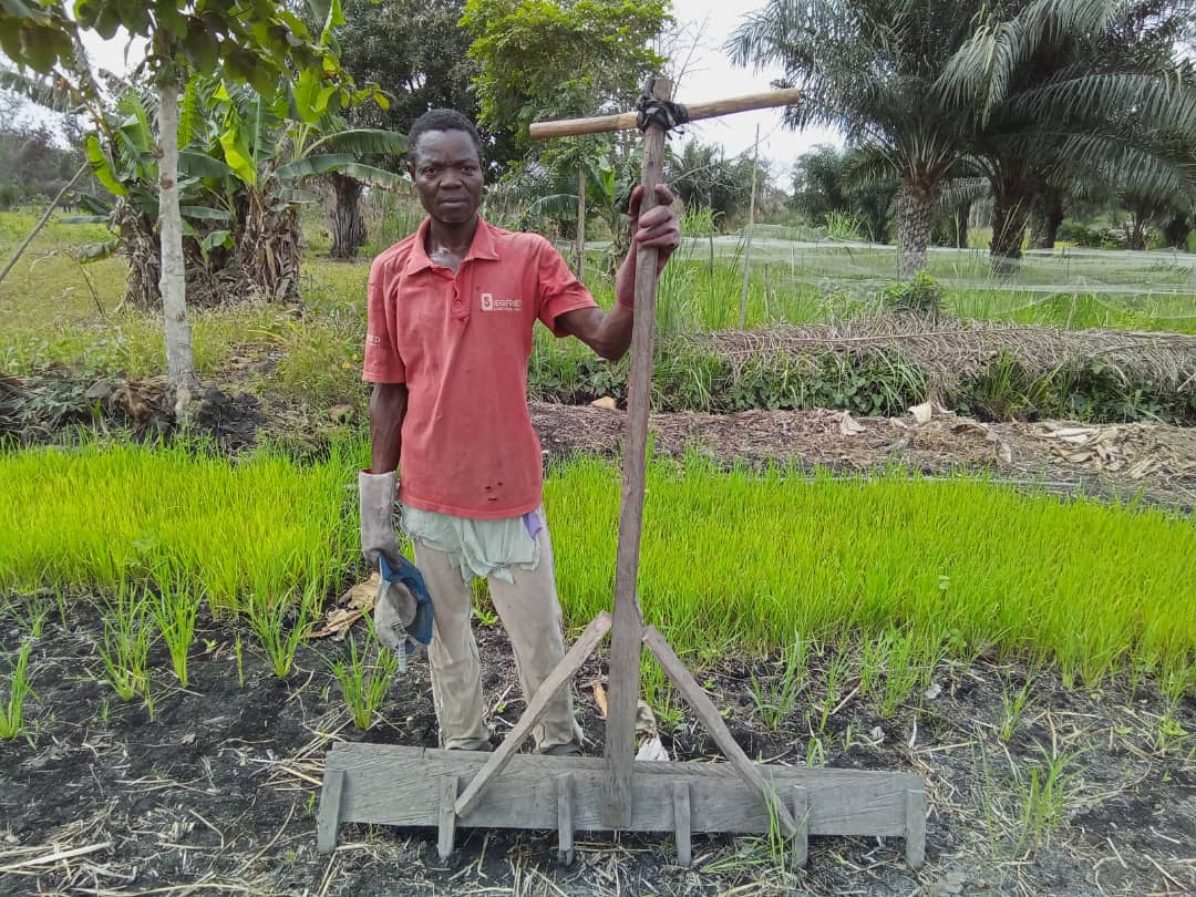 Stories | An agroecological transition in Benin: rice farmers are ...