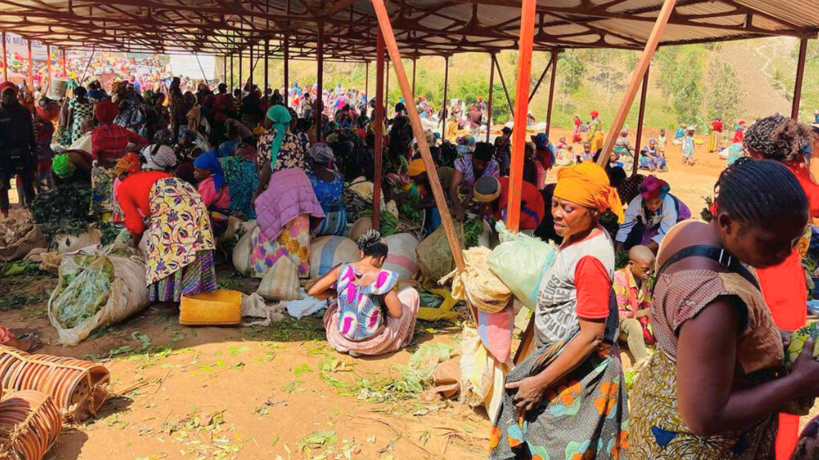 Stories | Youth-Led Resilience: Generation Food’s Impact in DRC