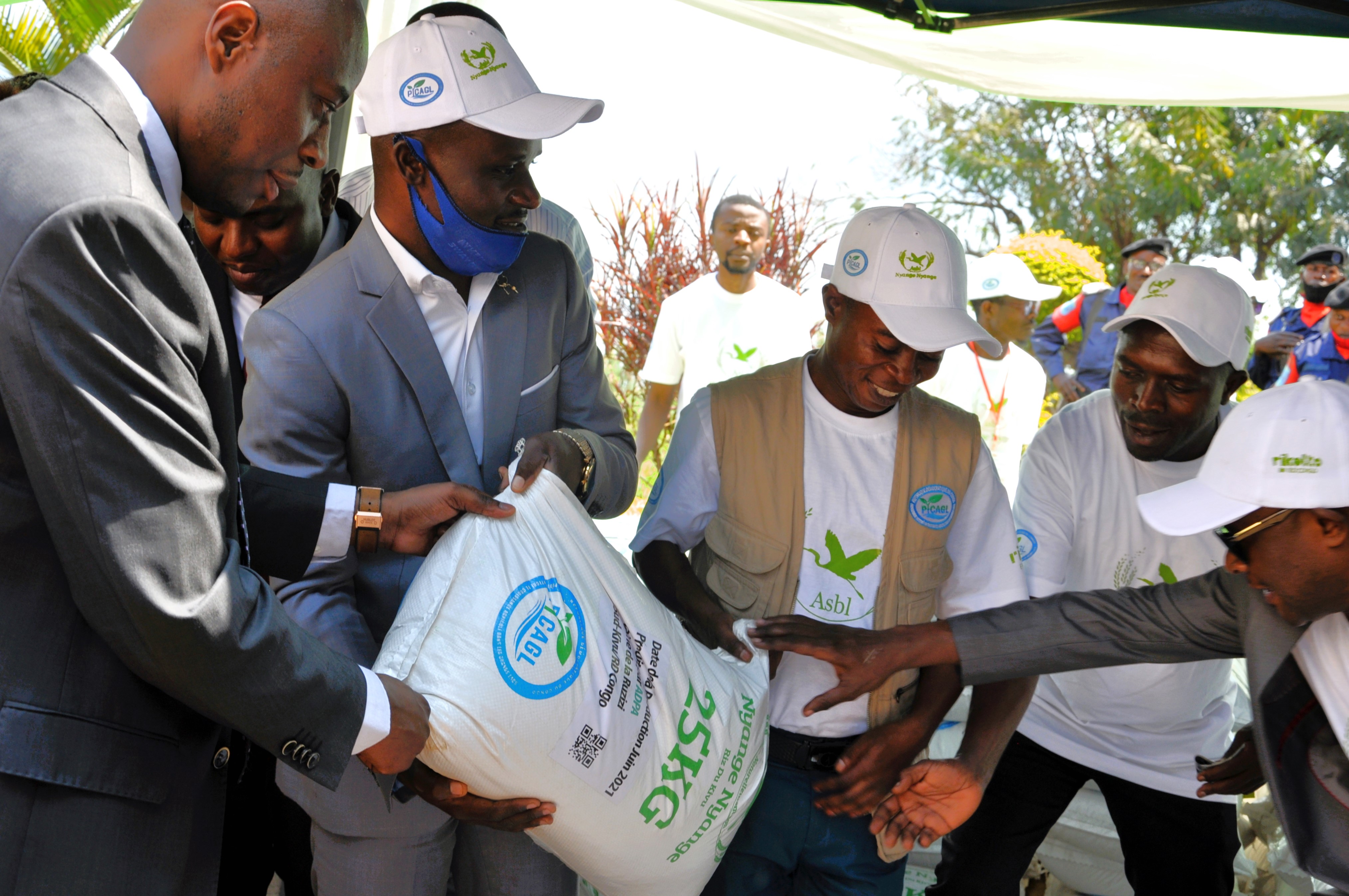 Projects | The white egret: an icon of local rice development in the DRC