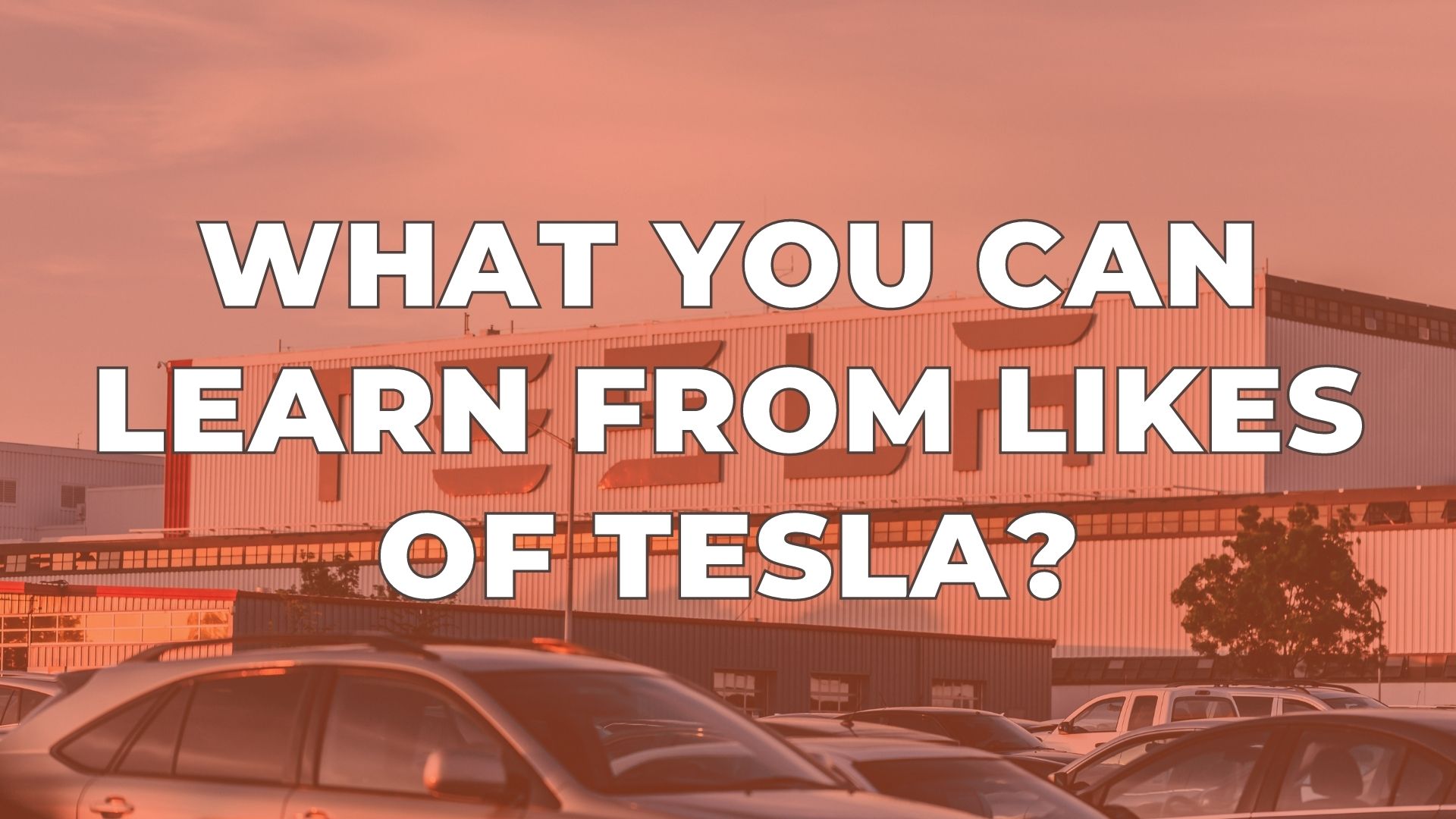 Startup Lessons: Teamwork Examples from Global Giants