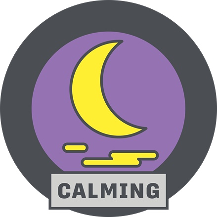 Explore Edible Cannabis Products | Terpene Journey