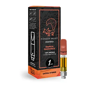 Explore Edible Cannabis Products