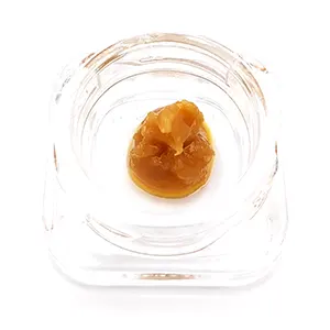 Explore Edible Cannabis Products