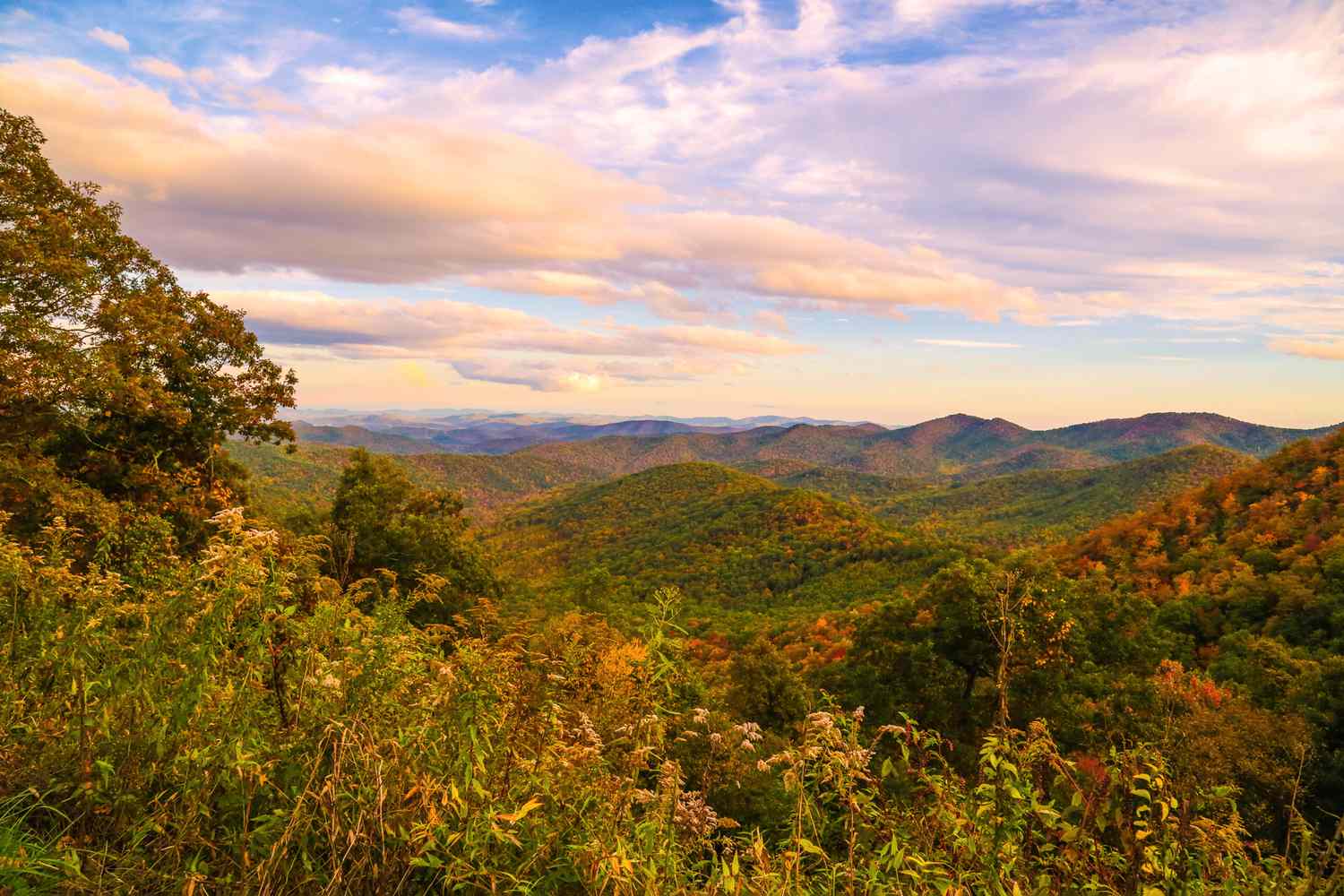 6 Stunning Locations for Corporate Retreat in North Carolina