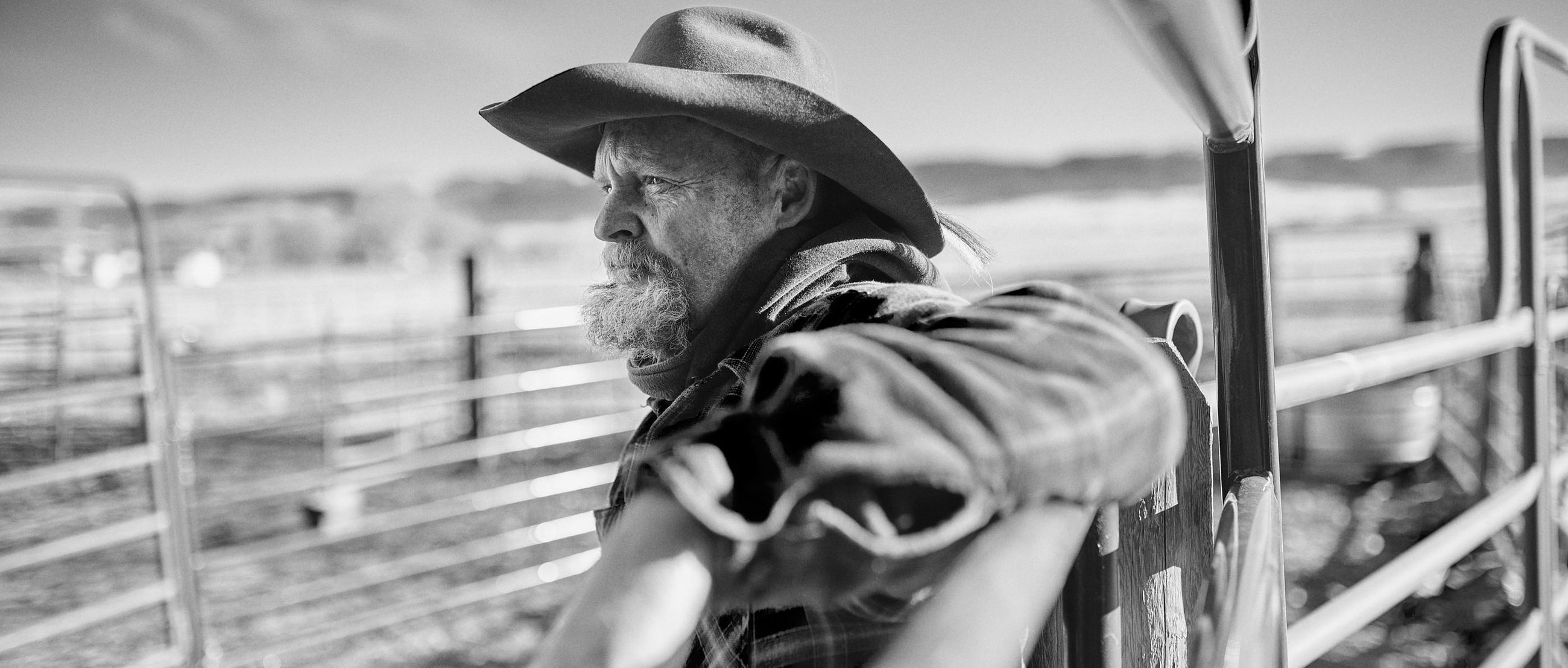 Dennis Webber - Wedding & Commercial Photographer