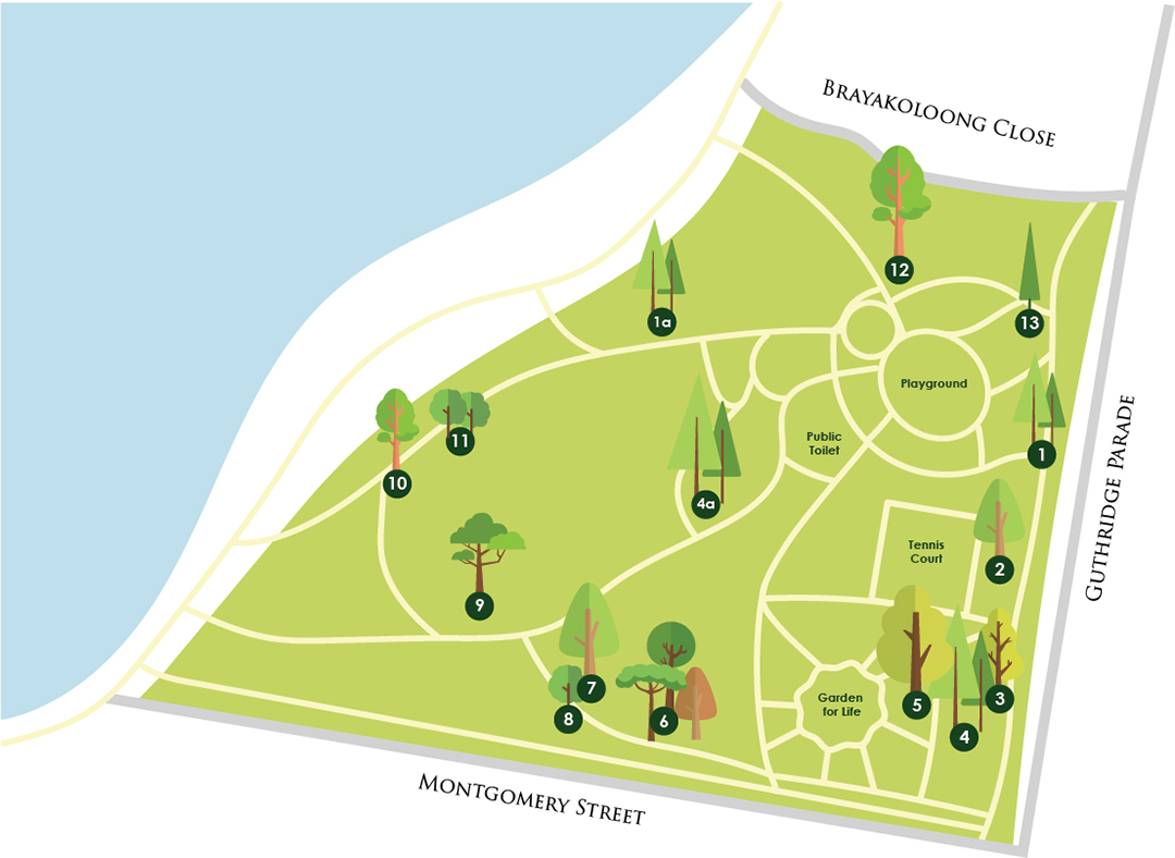 Significant Tree Walk