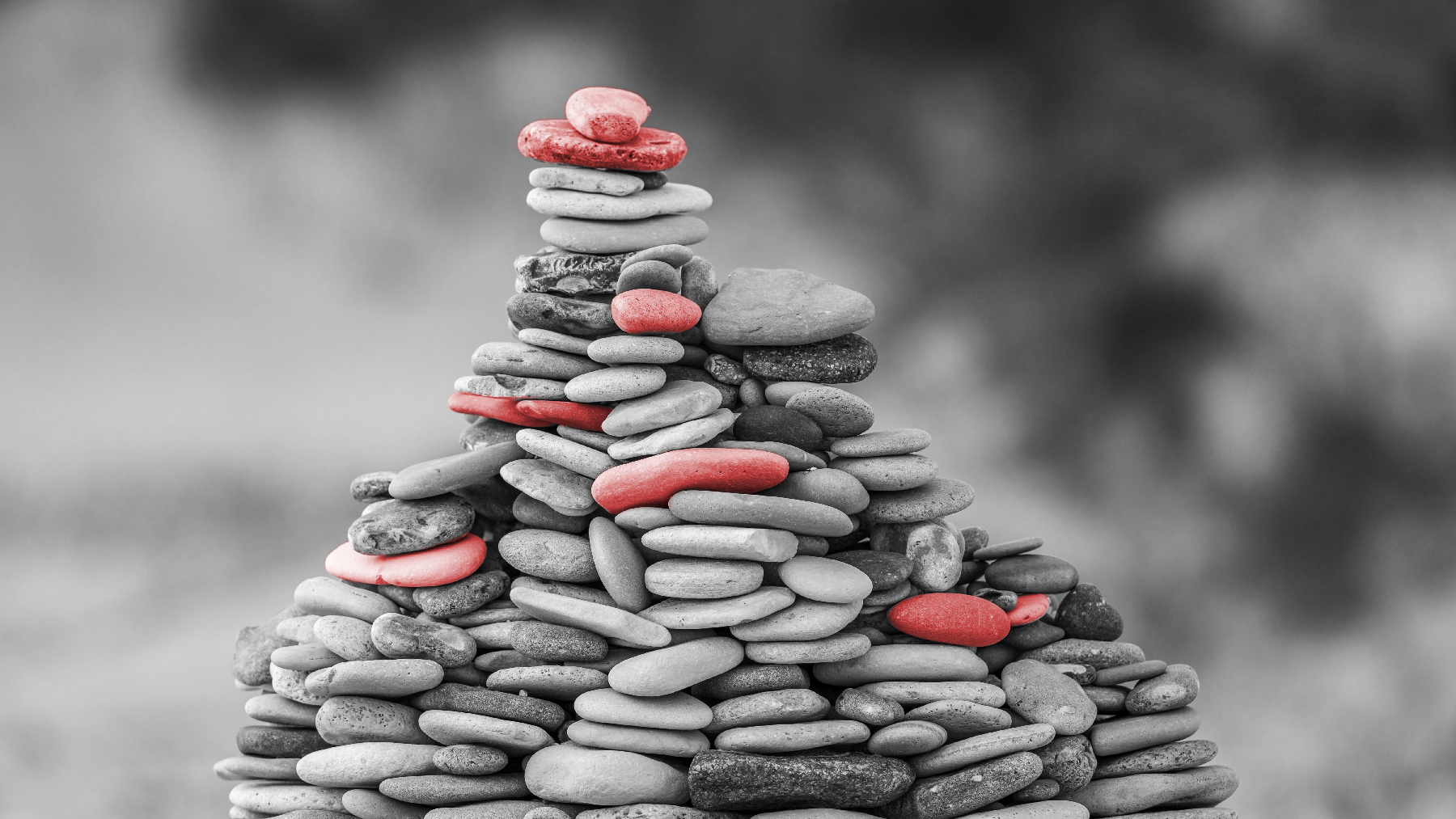 Trust & Connection — How to Foster Trust to Build Connection | fassforward